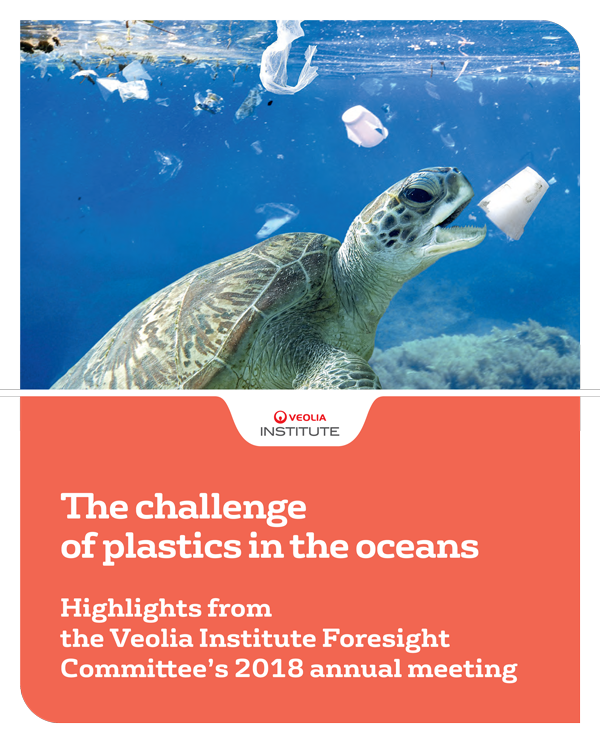 The challenge of plastics in the oceans | Veolia Institute