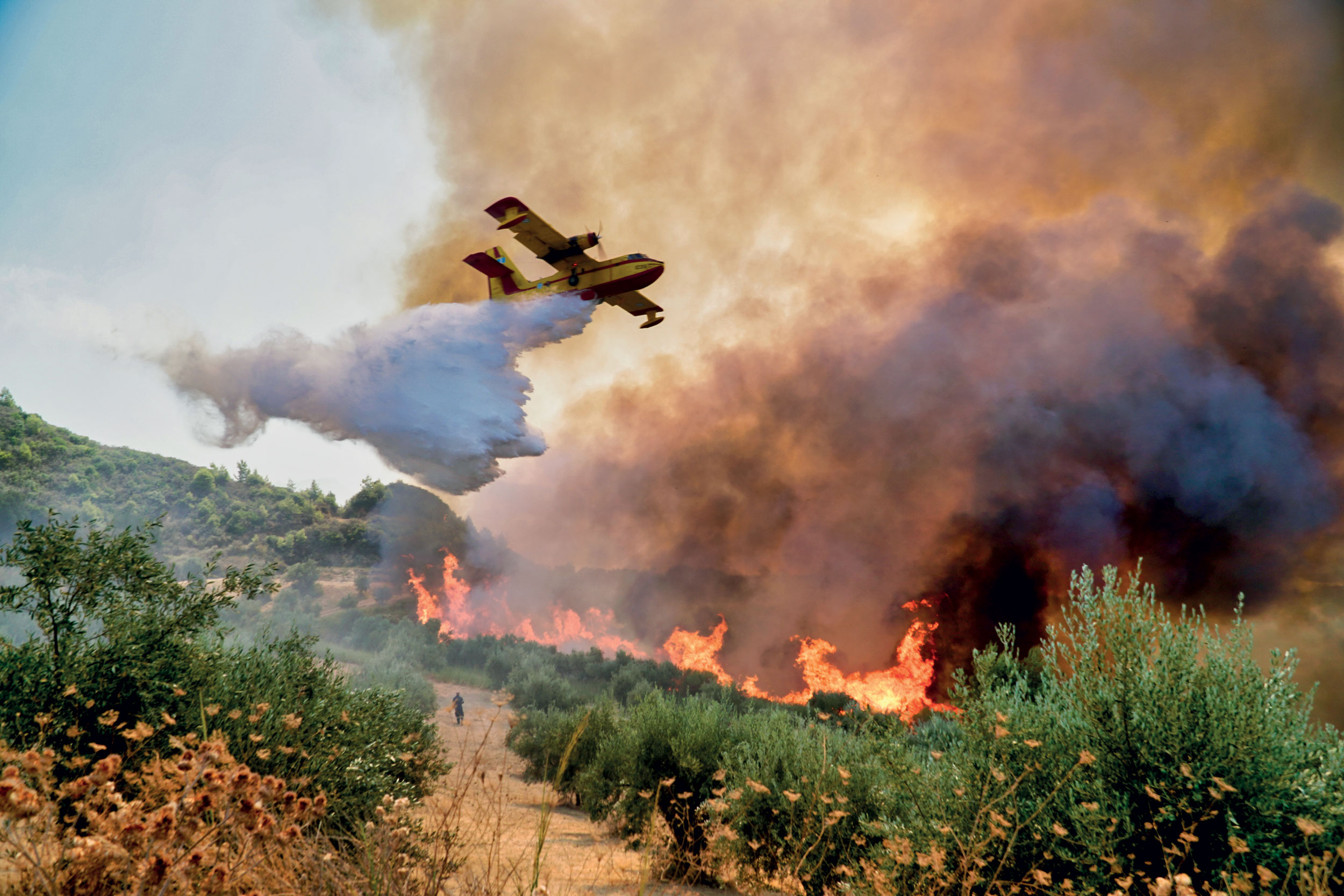 From ecological transition to ecological transformation: consensus and ...