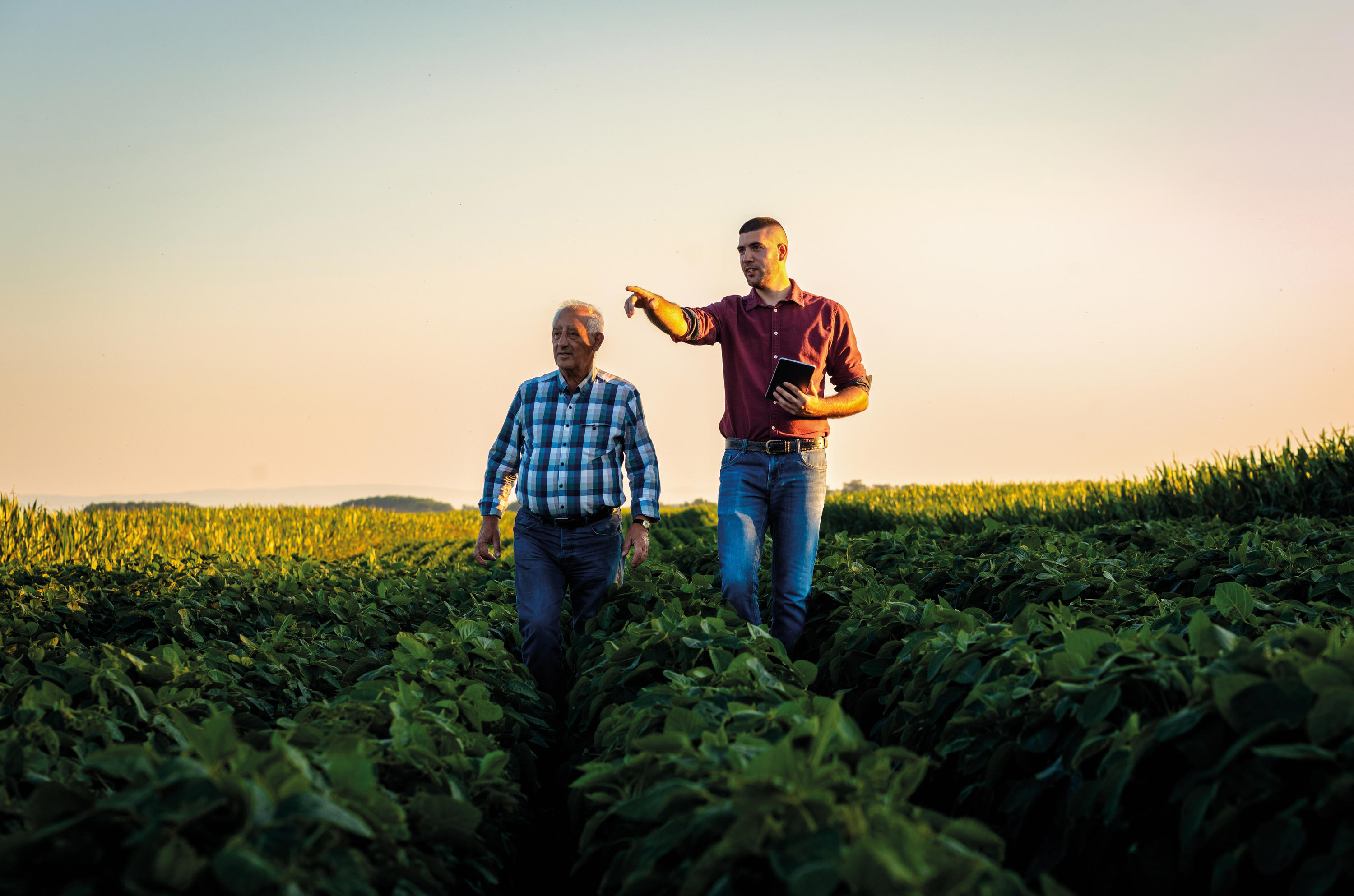 Climate change and occupational health: Escalating risks and prevention ...